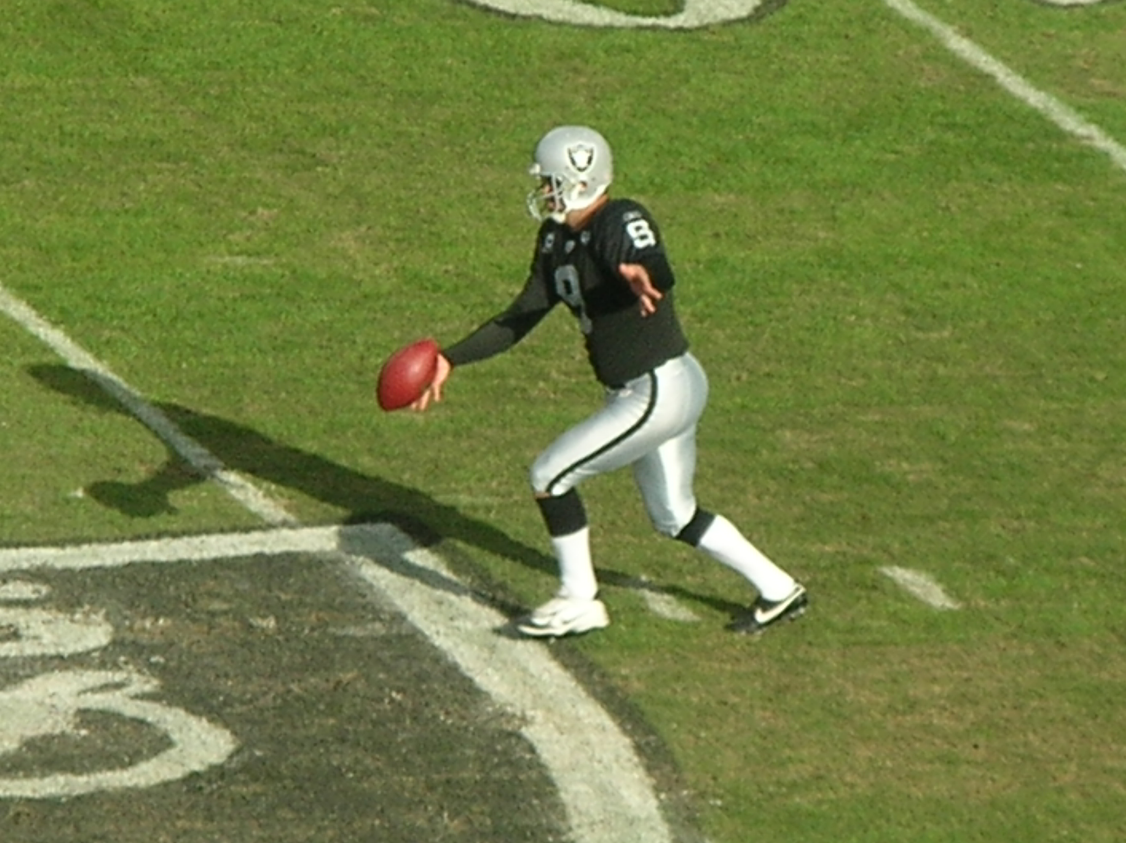 Ranking the 15 Most Legendary NFL Punters of All Time - Gamer Koala