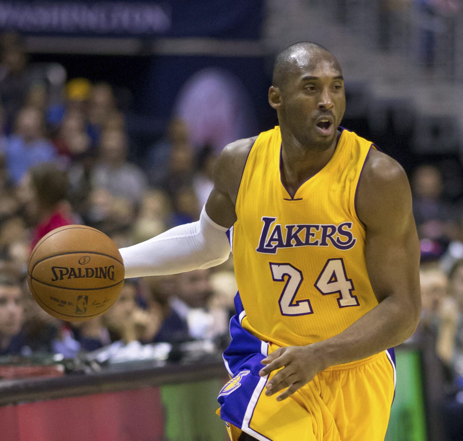 Ranking the 15 Top Slam Dunk Legends in the NBA - Gamer Koala