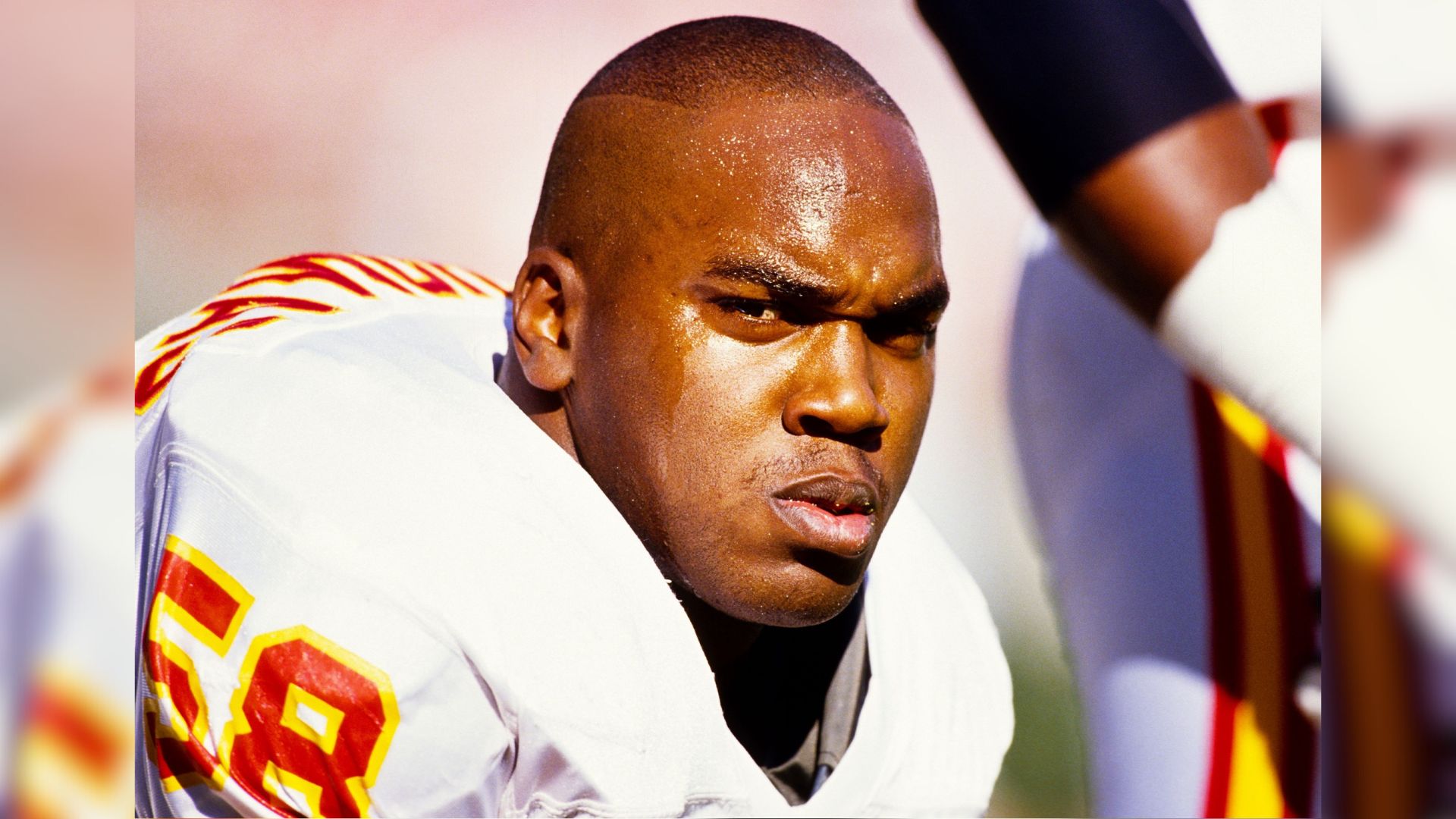 The 23 Greatest Linebackers in NFL History, Ranked - Gamer Koala