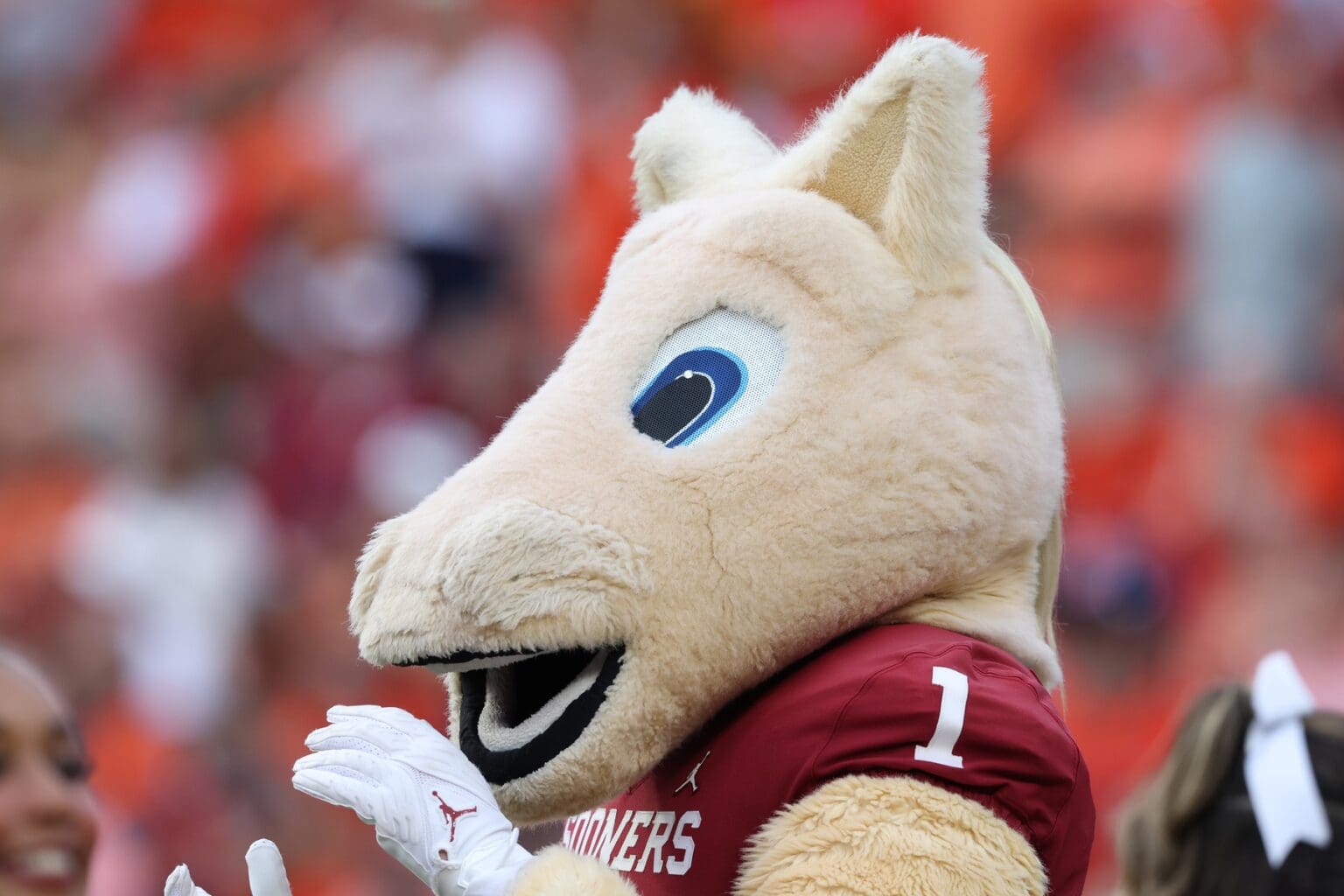 Ranking the 15 Coolest College Football Mascots - Gamer Koala